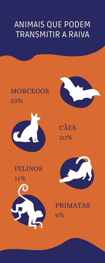 Novos casos de raiva no Paraná: entenda o perigo e como evitar. - CLUBE ...